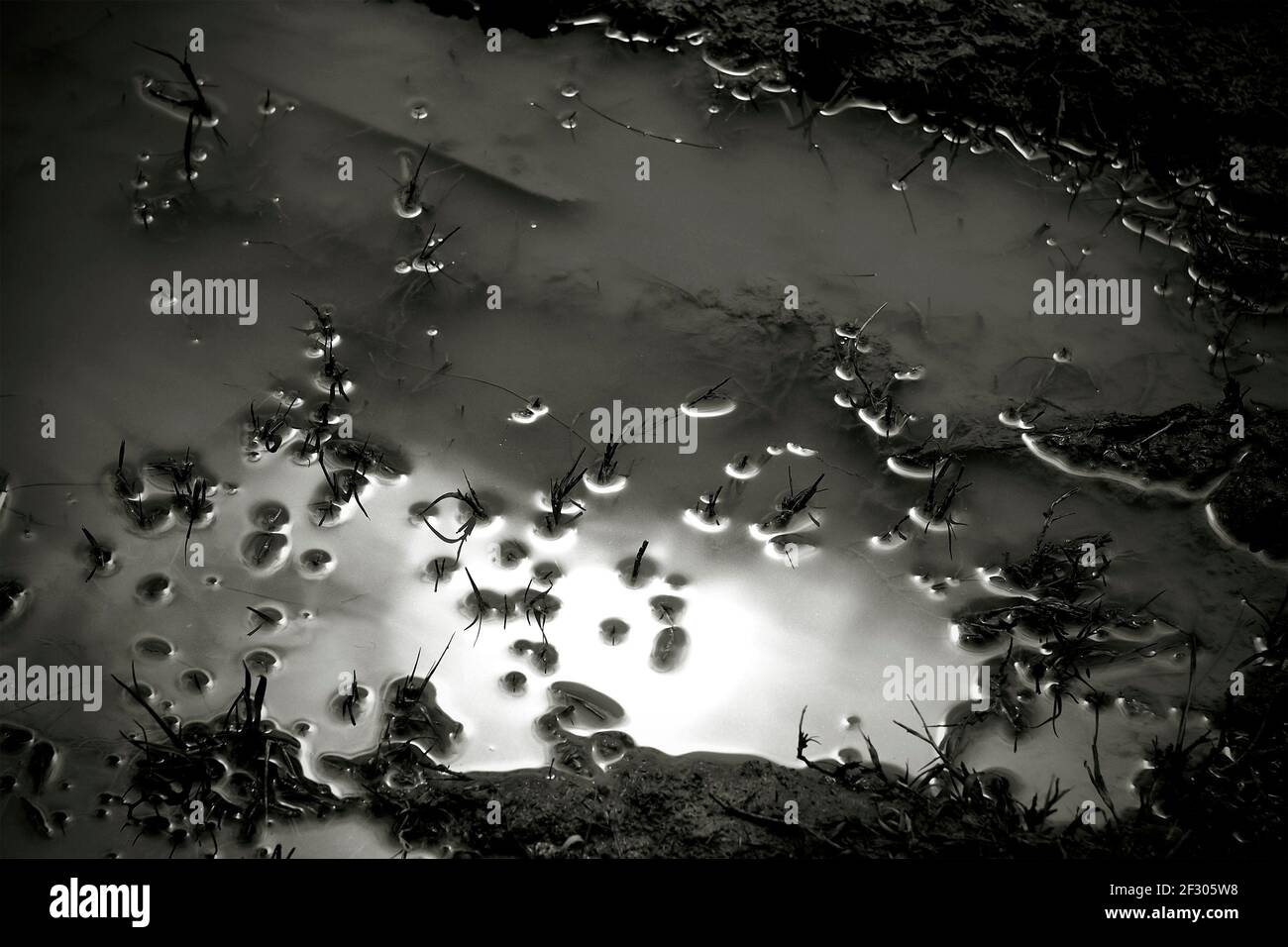 Puddle sun reflection pavement hi-res stock photography and images - Alamy