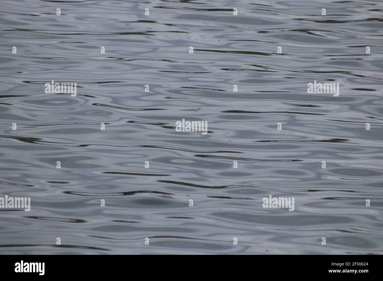 Sea water in harbour in close up Stock Photo - Alamy