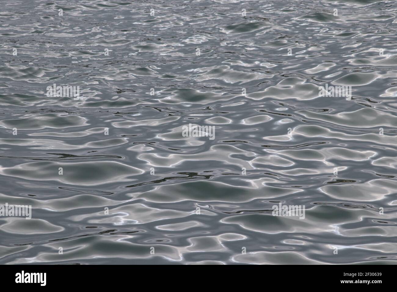 Sea water in harbour in close up Stock Photo - Alamy