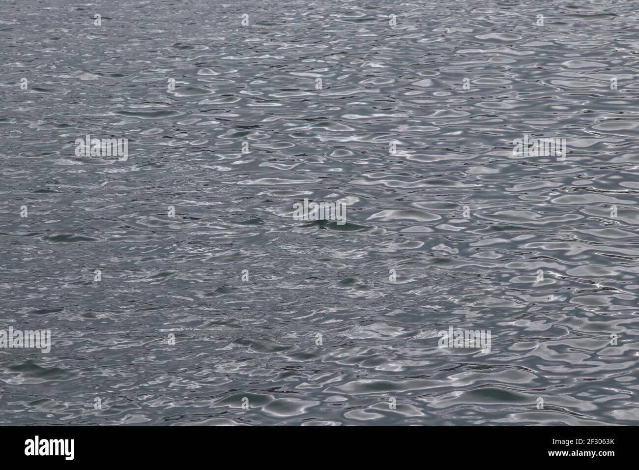 Sea water in harbour in close up Stock Photo - Alamy