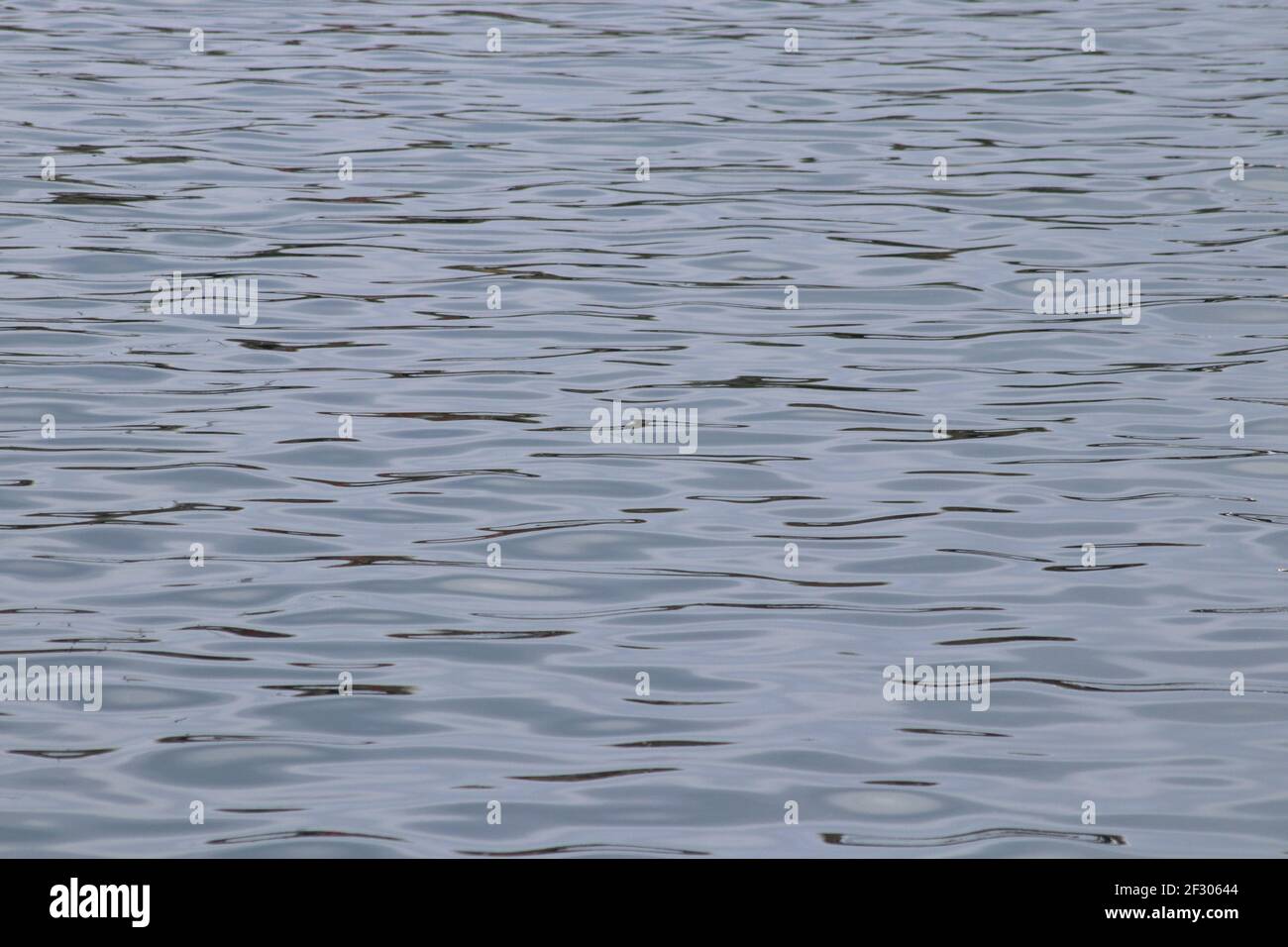 Sea water in harbour in close up Stock Photo - Alamy