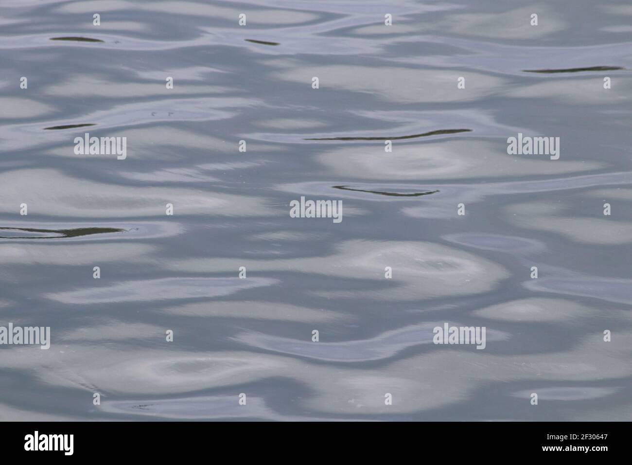Sea water in harbour in close up Stock Photo - Alamy