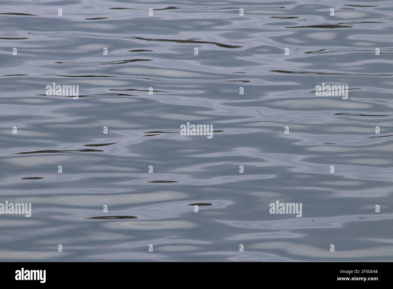Sea water in harbour in close up Stock Photo - Alamy