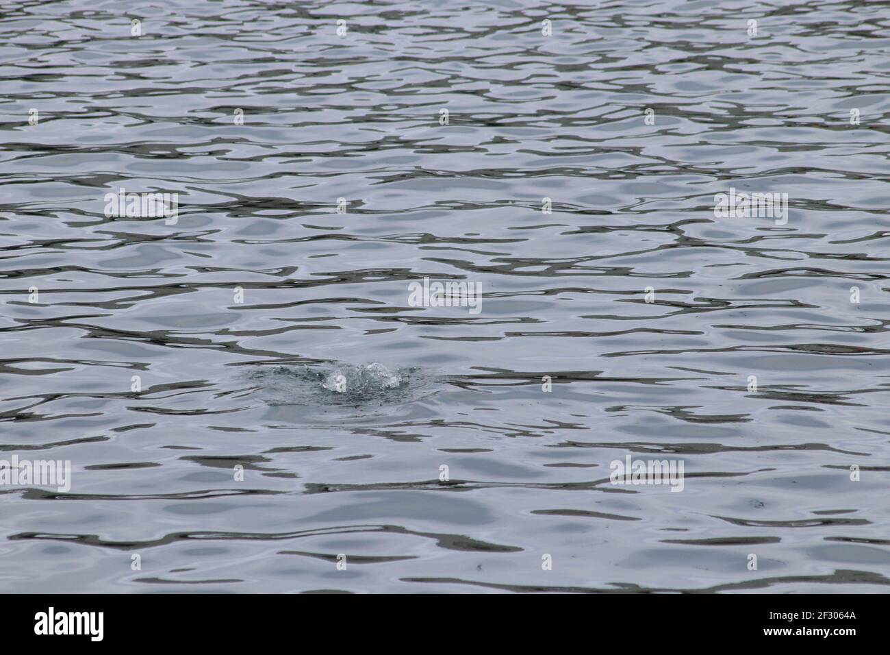 Sea water in harbour in close up Stock Photo - Alamy
