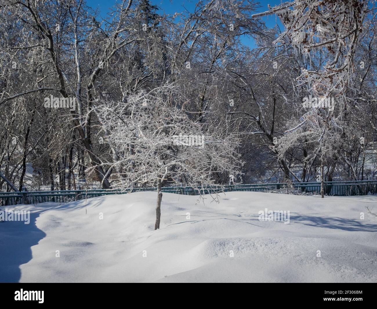 Beautiful landscape in Icy winter Stock Photo - Alamy
