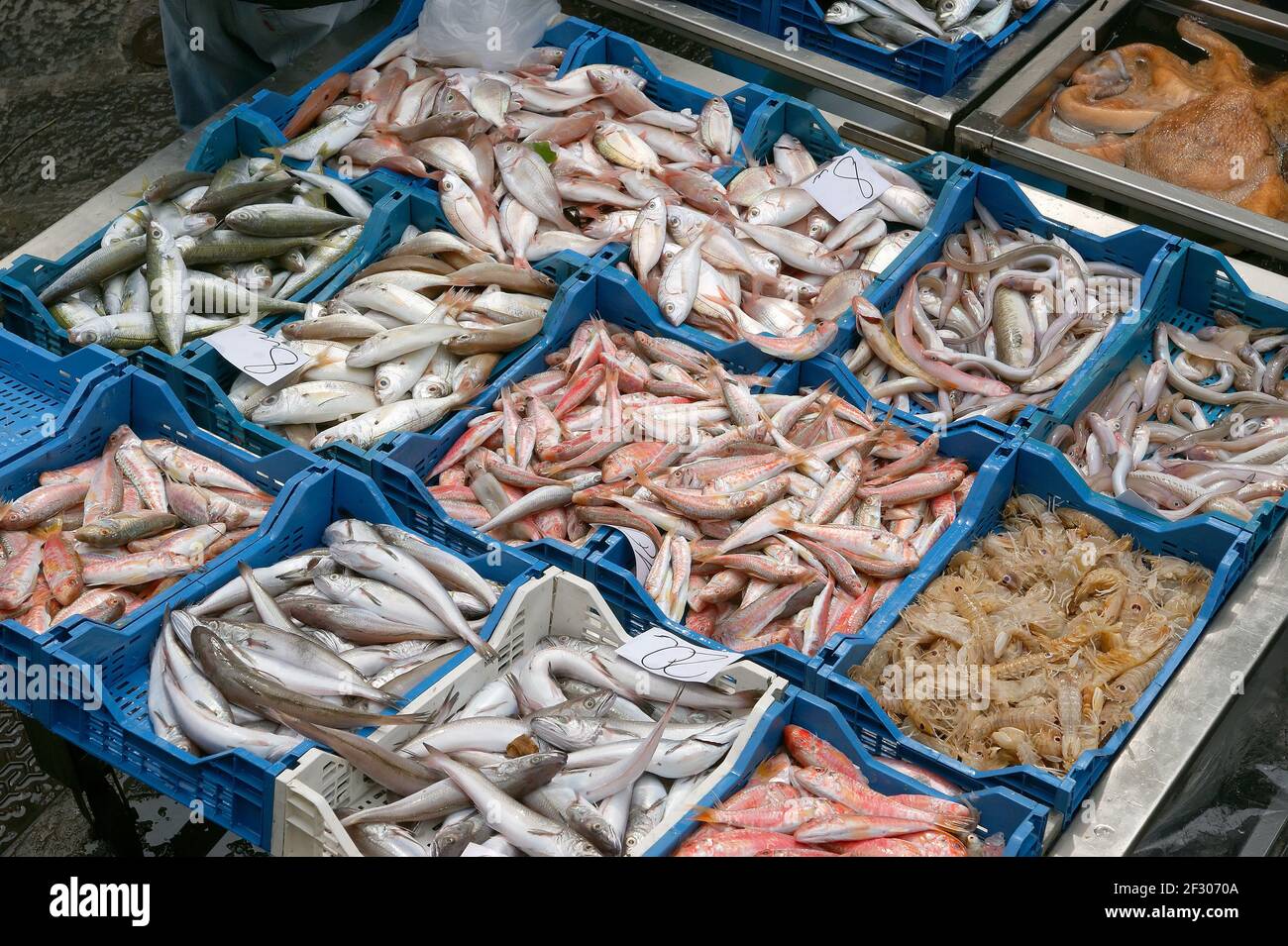 Fresh fish laid out at a market Stock Photo - Alamy