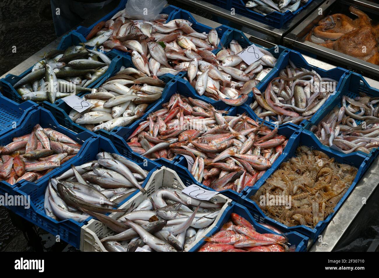 Fresh fish laid out at a market Stock Photo - Alamy