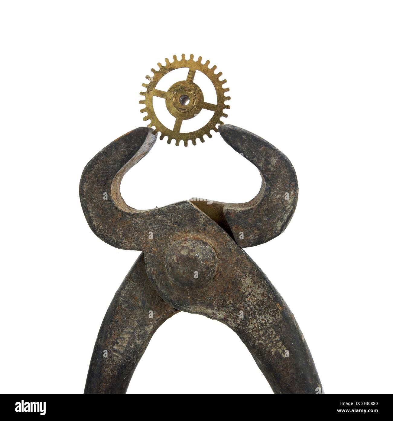 A pincer and gear isolated on white background Stock Photo - Alamy