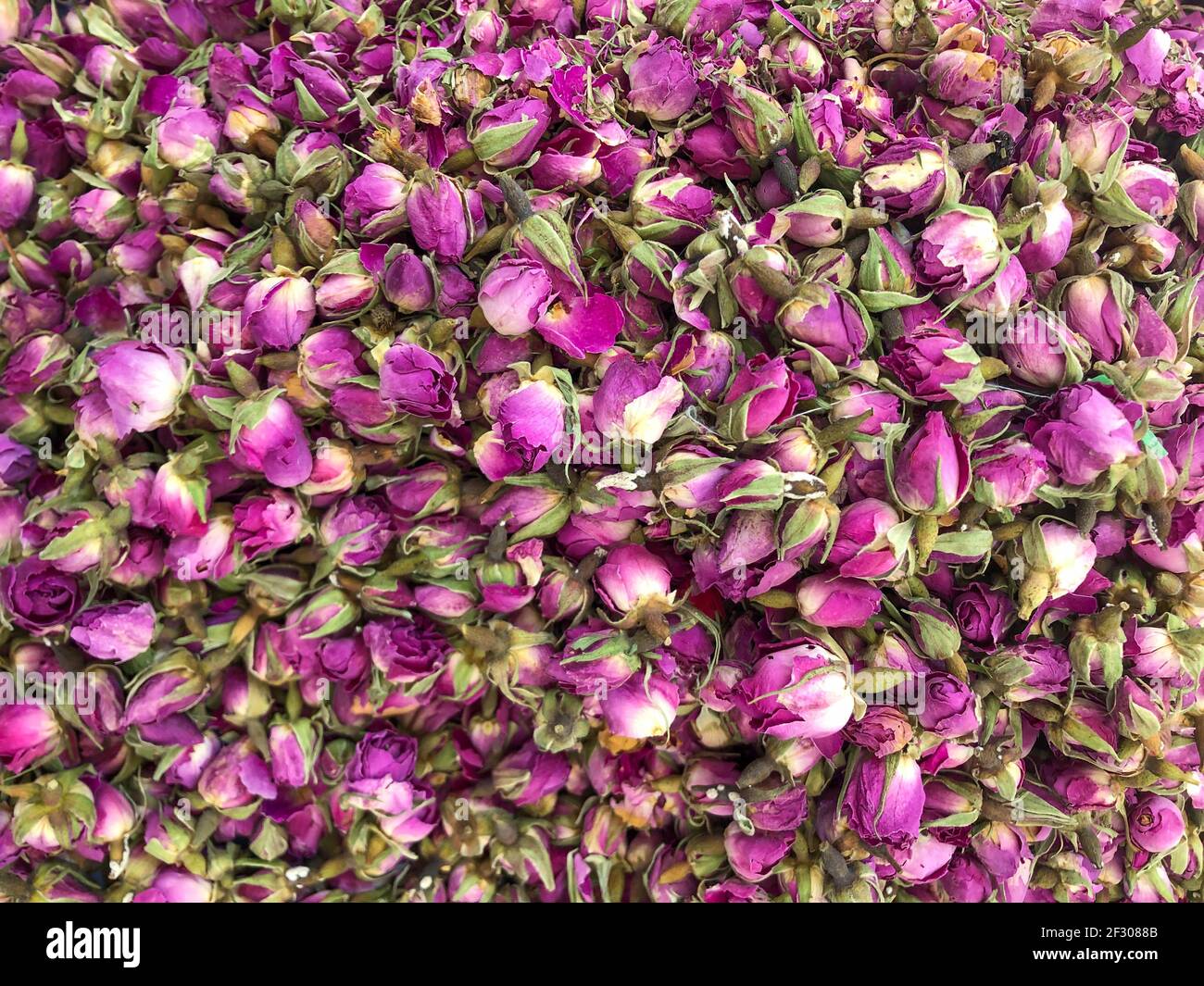 pile of dried pink rose flowers for herbal tea Stock Photo - Alamy