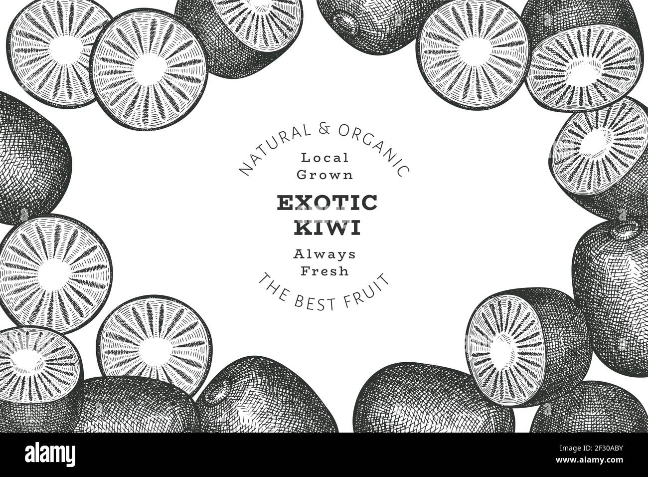 Hand drawn sketch style kiwi banner. Organic fresh fruit vector ...