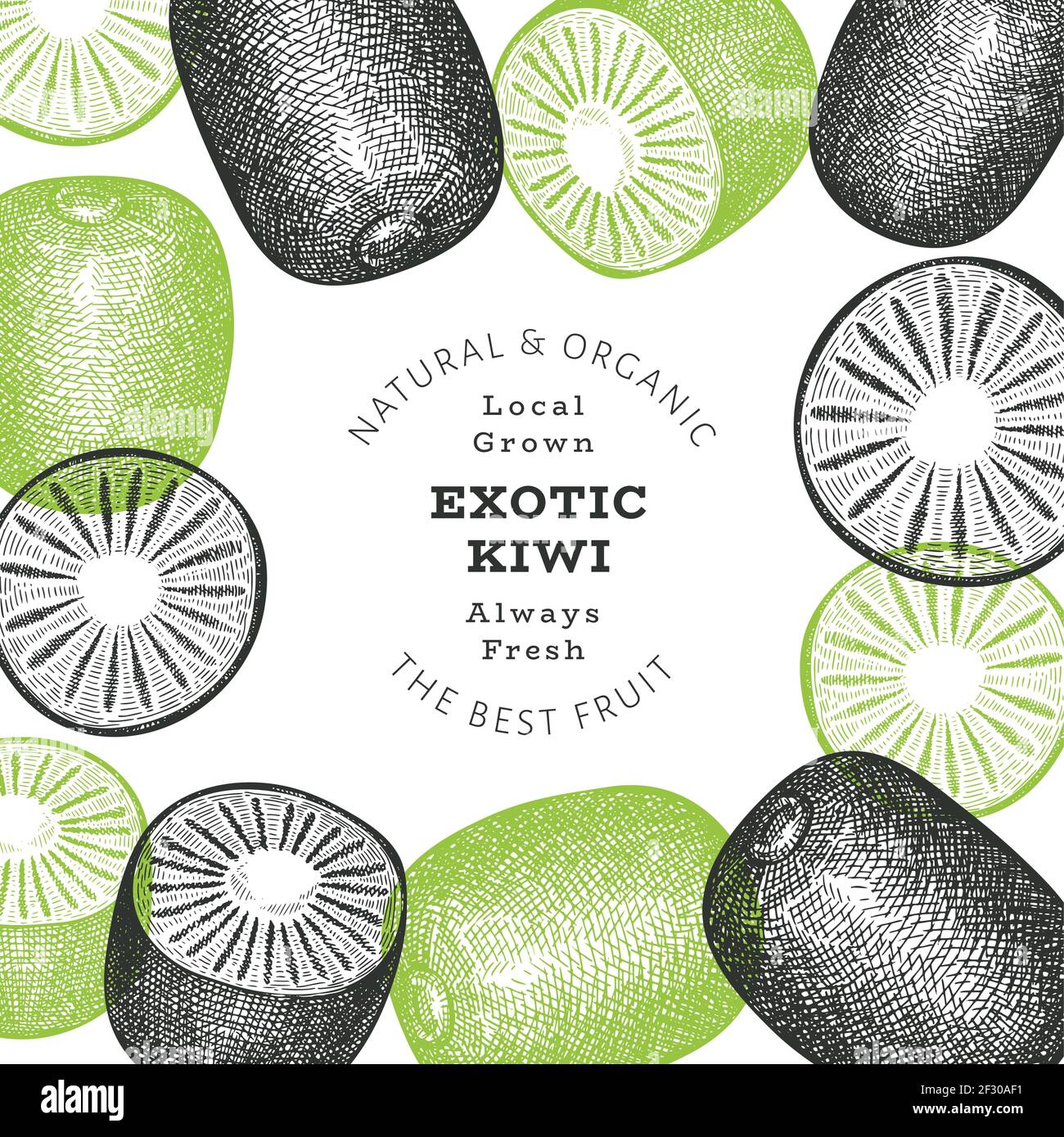 Hand drawn sketch style kiwi banner. Organic fresh fruit vector ...