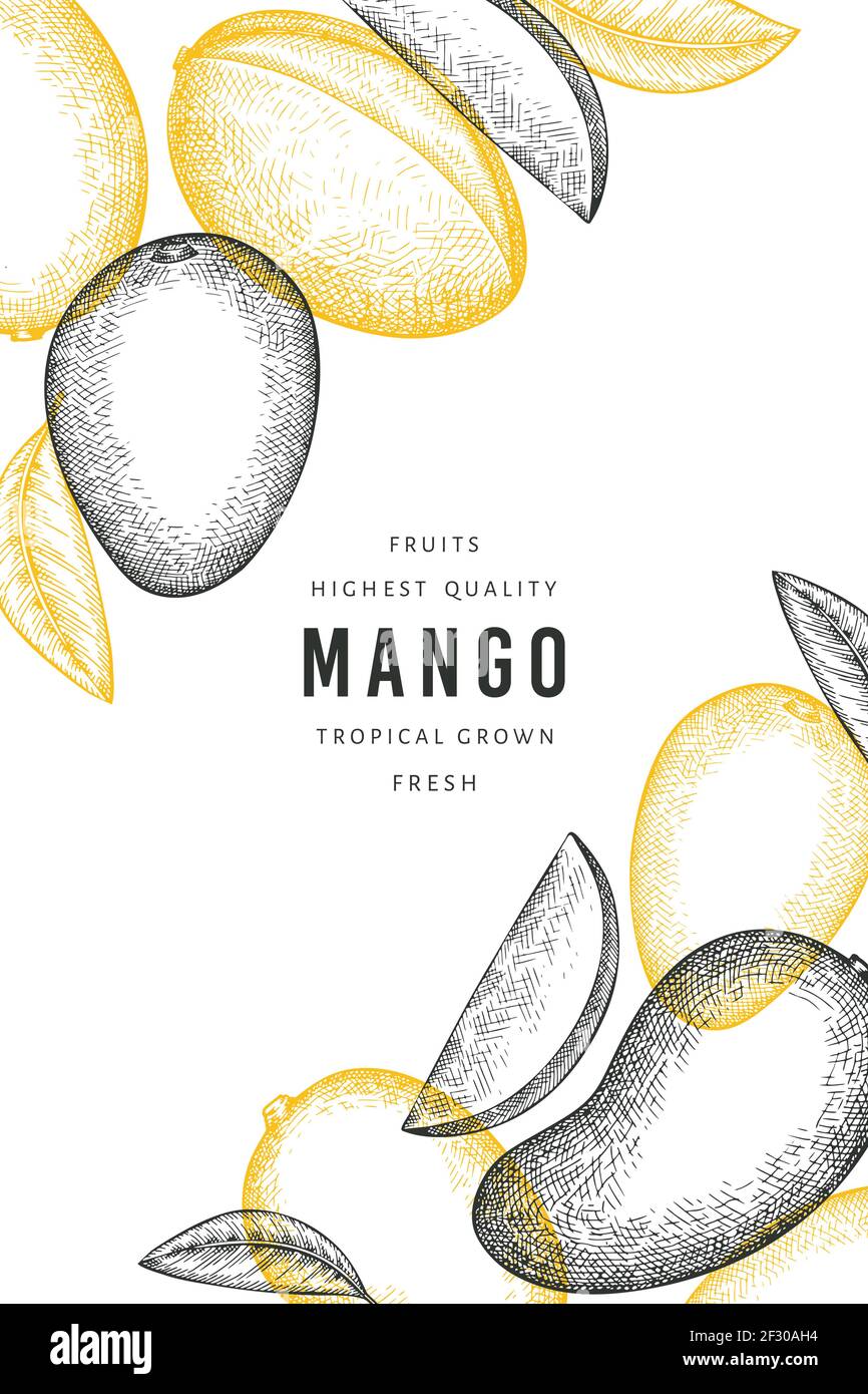 Hand drawn sketch style mango banner. Organic fresh fruit vector ...