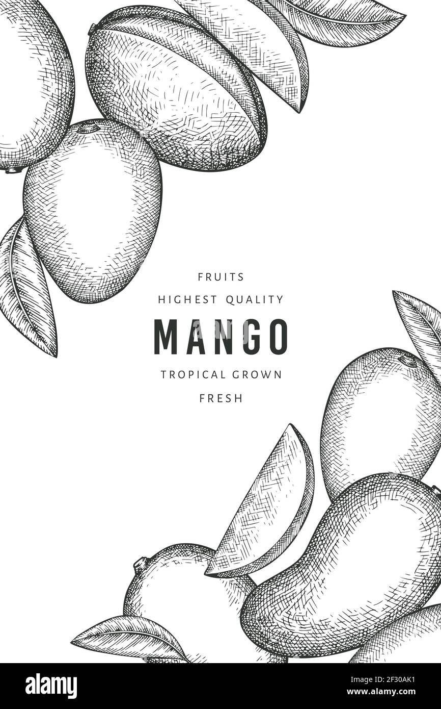 Hand drawn sketch style mango banner. Organic fresh fruit vector ...