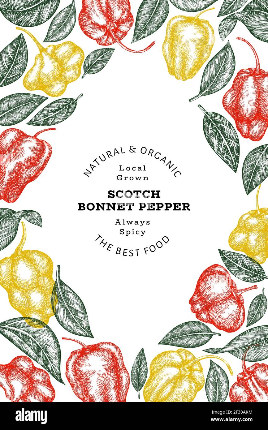 Hand drawn sketch style scotch bonnet pepper banner. Organic fresh ...