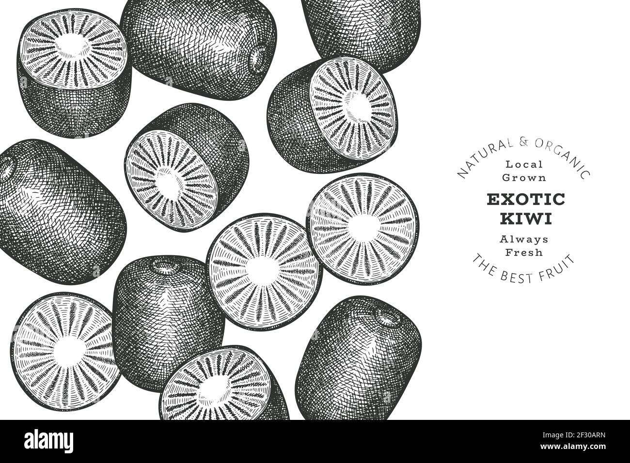 Hand drawn sketch style kiwi banner. Organic fresh fruit vector ...