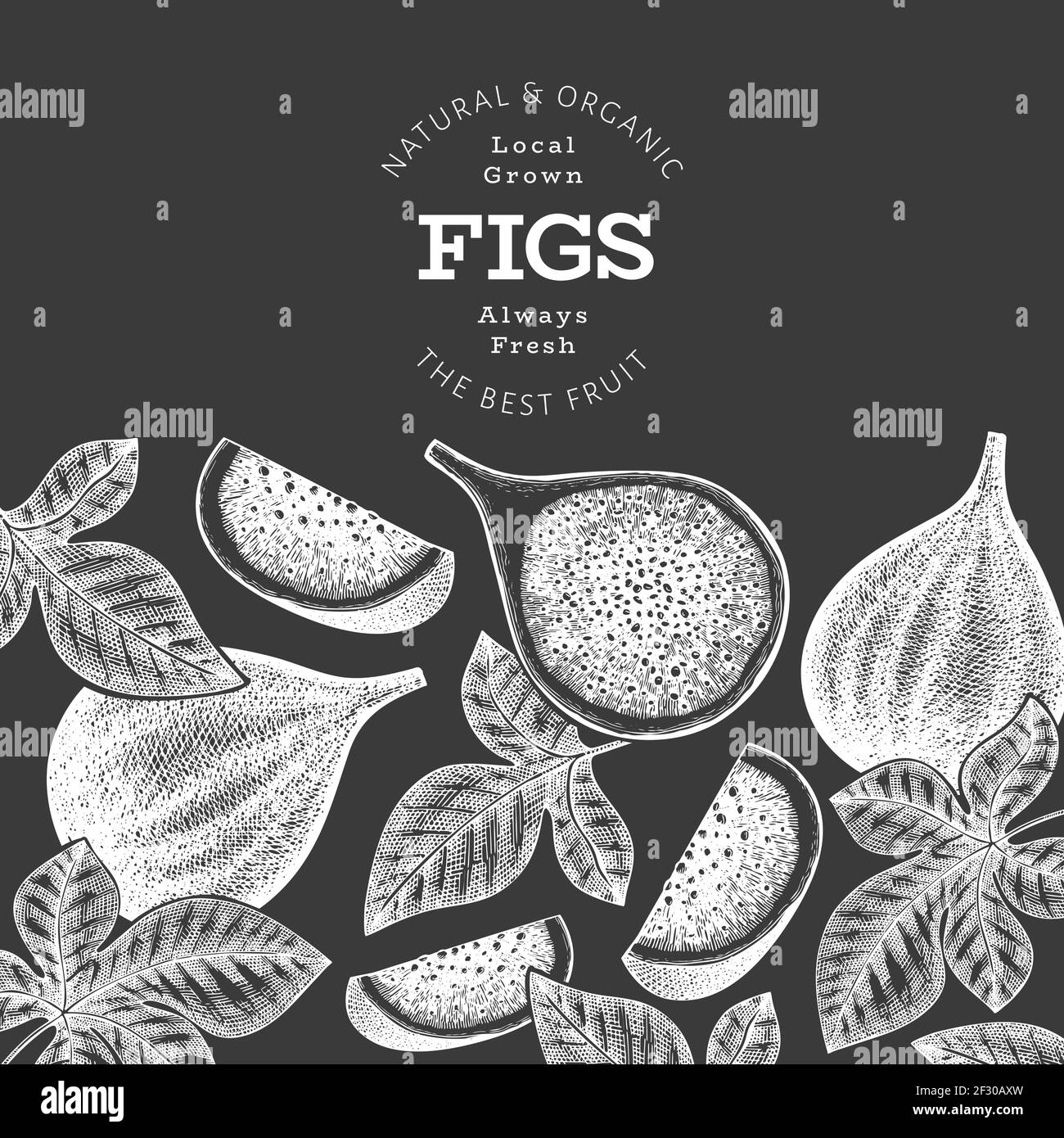 Hand drawn fig fruits design template. Organic fresh food vector ...