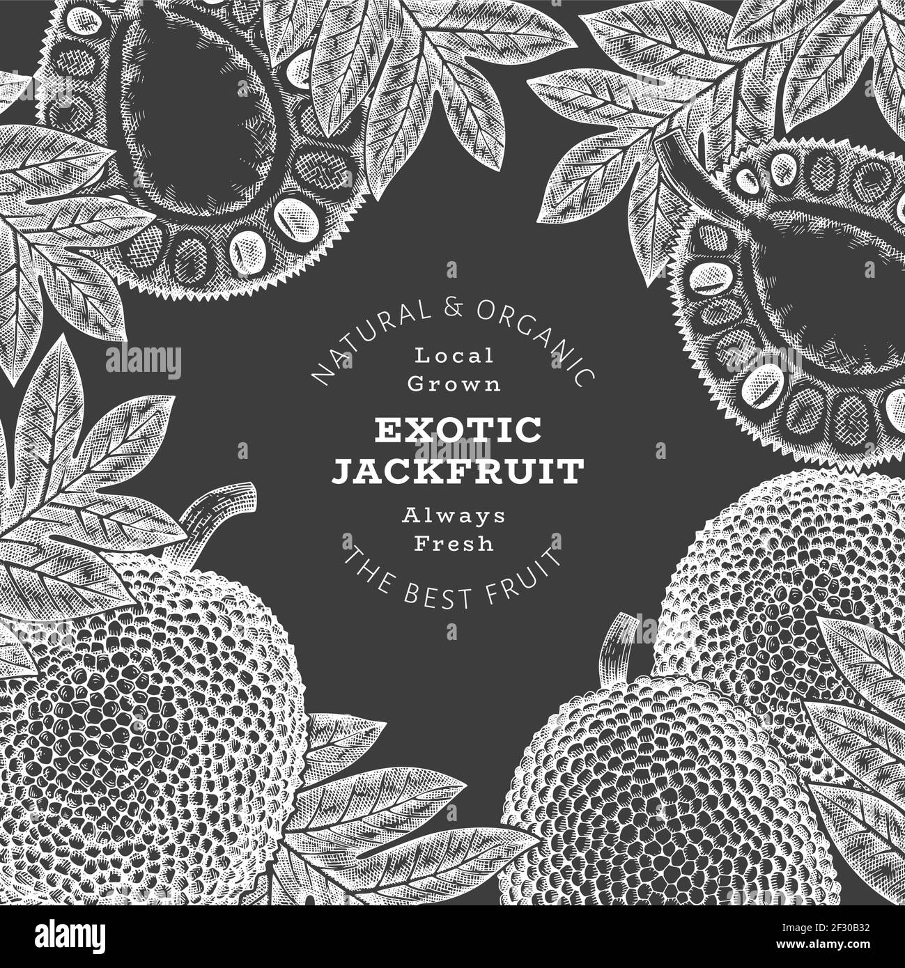 Hand drawn sketch style jackfruit banner. Organic fresh fruit vector illustration on chalk board ...