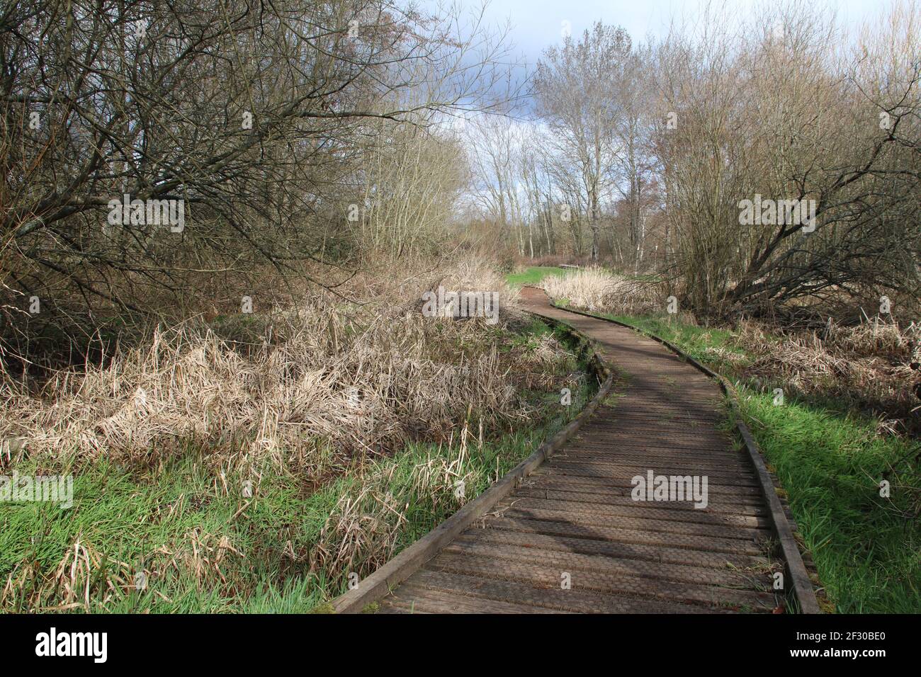 wooden walkway across field in countryside Stock Photo - Alamy