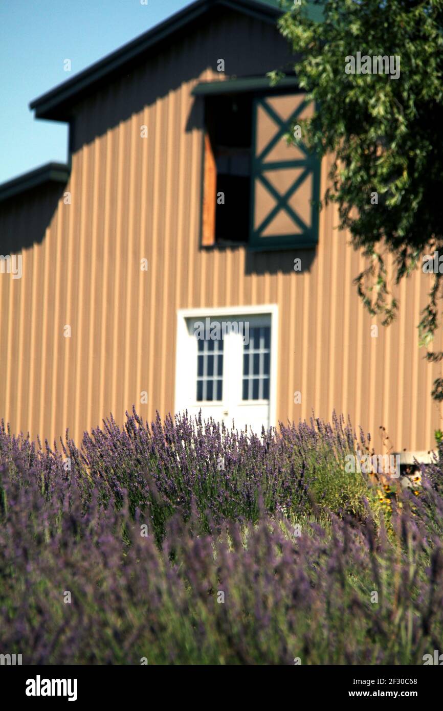 Farm barn with flowers hi-res stock photography and images - Alamy
