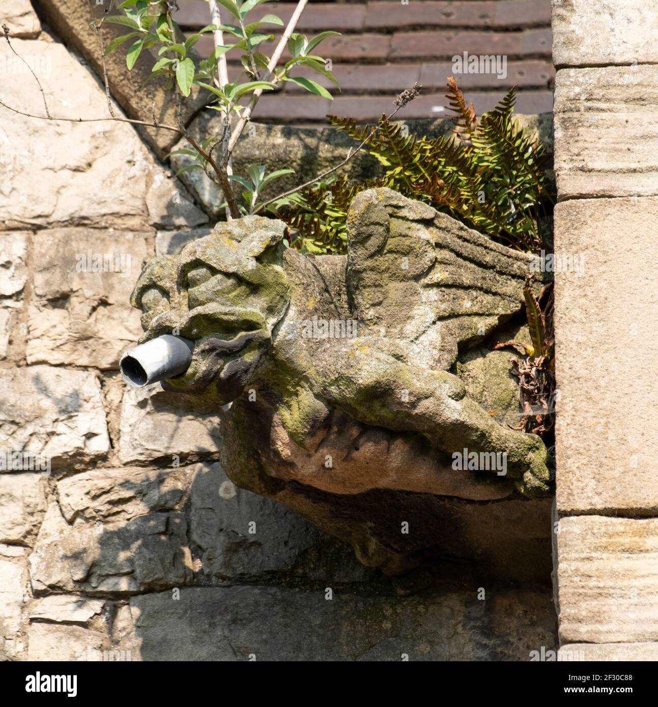 Gargoyle Water Spout High Resolution Stock Photography and Images - Alamy