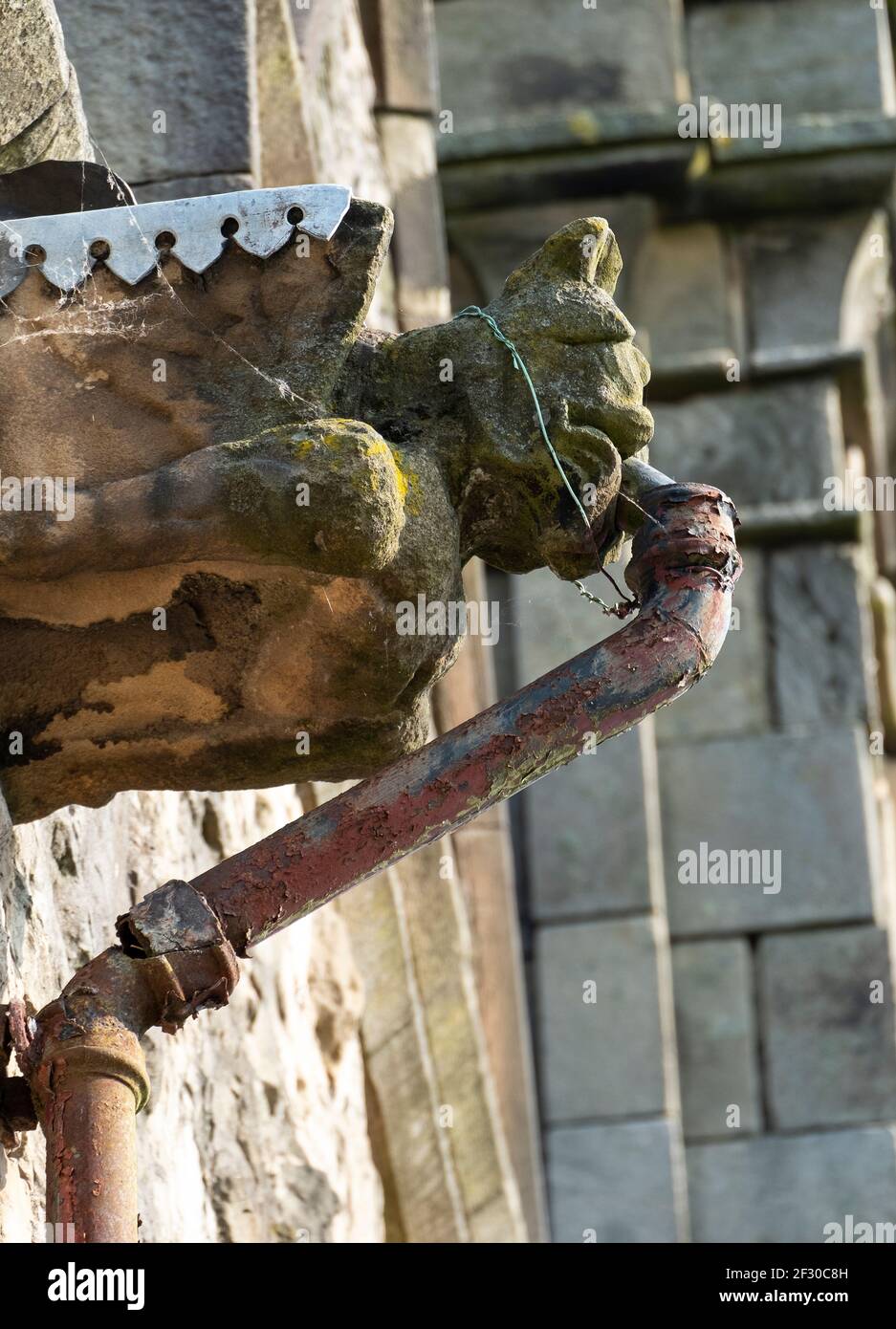 Gargoyle Water Spout High Resolution Stock Photography and Images - Alamy