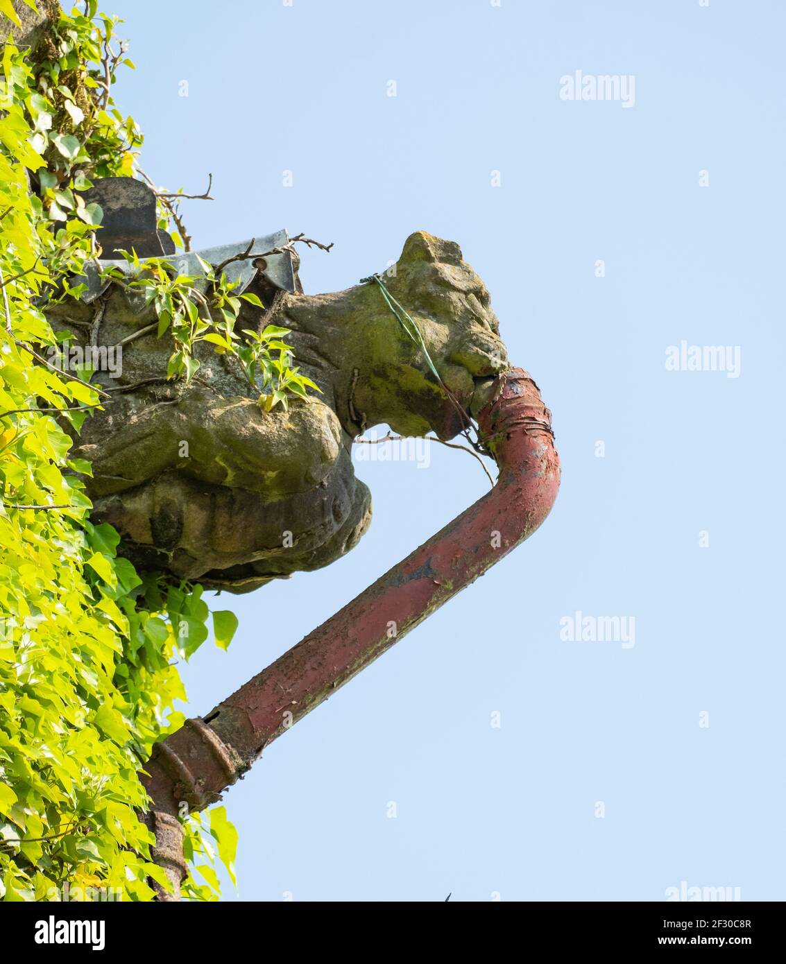 Gargoyle Water Spout High Resolution Stock Photography and Images - Alamy