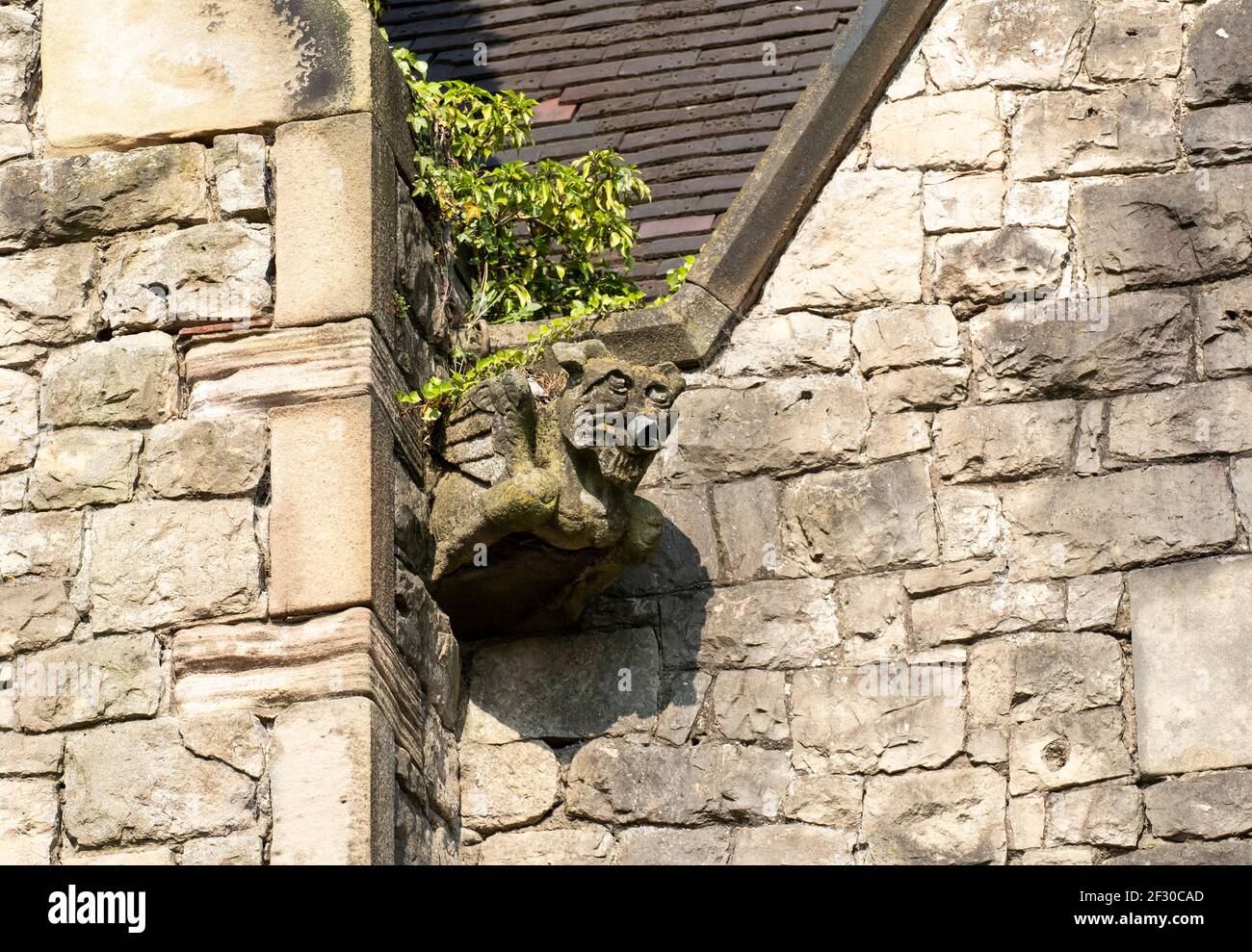 Stone gargoyle on a Victorian building Stock Photo - Alamy