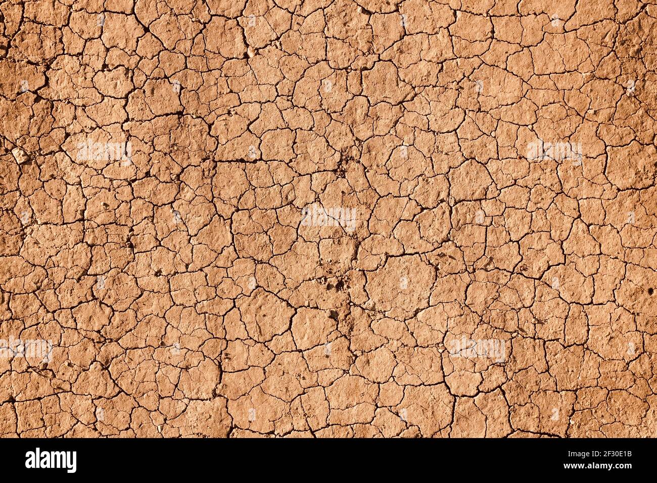 A top view of dry cracked scorched earth Stock Photo - Alamy