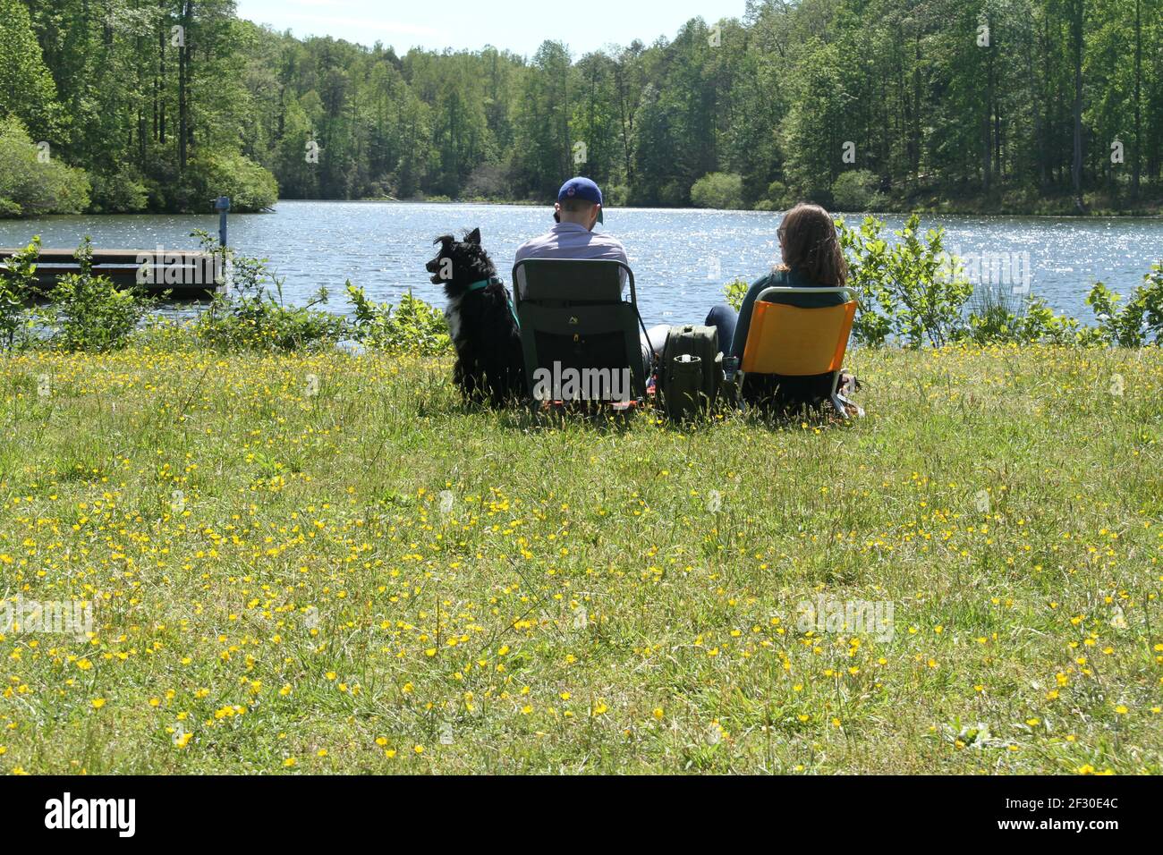 Couple dog park spring hi-res stock photography and images - Alamy