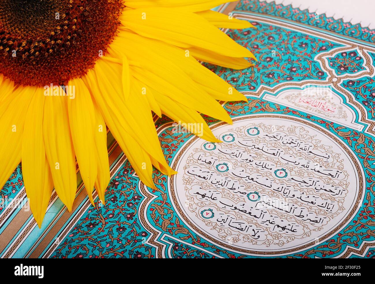 Rose/flower put on holy Islam book Koran Stock Photo - Alamy
