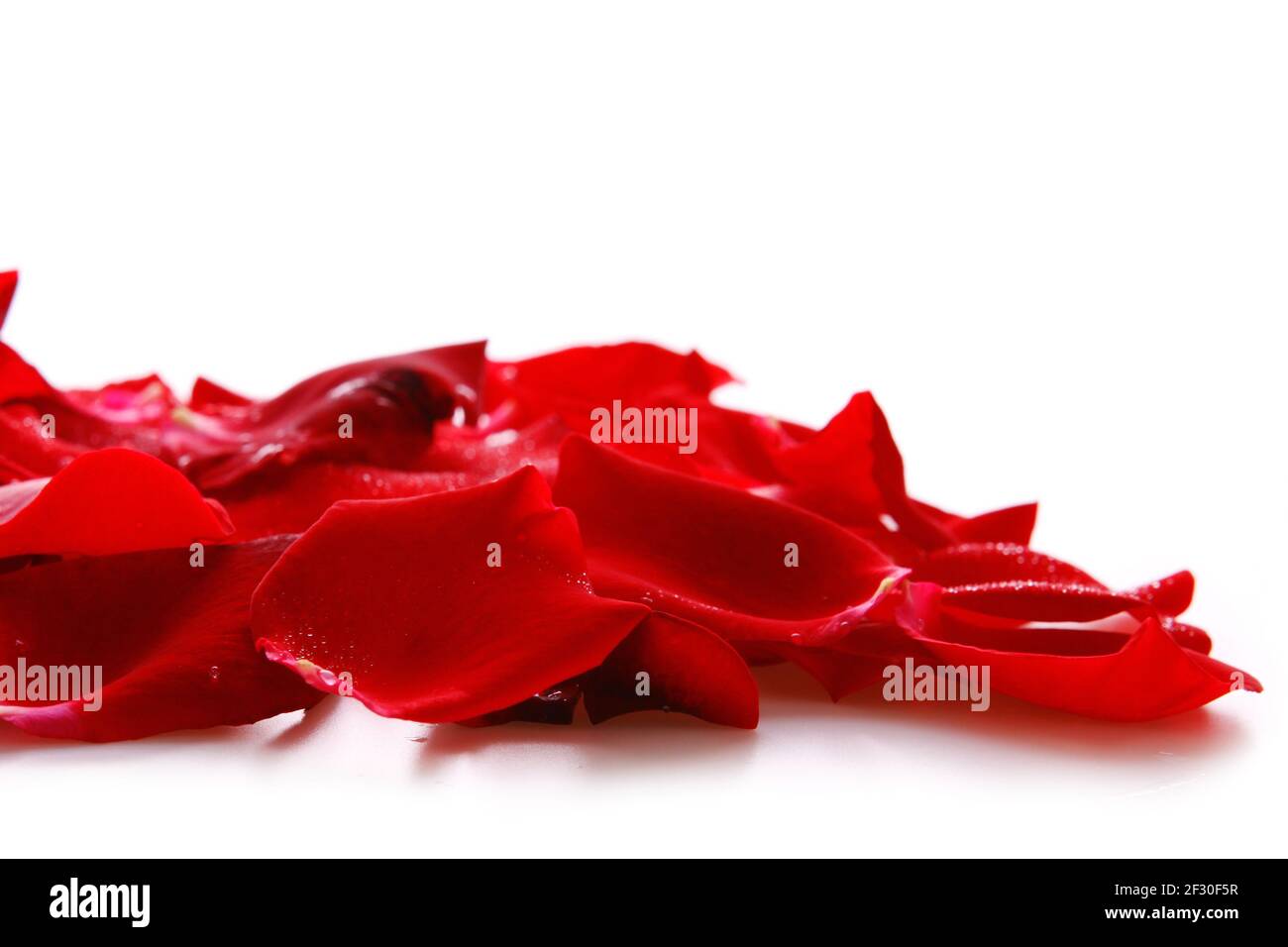 Red rose petals Stock Photo - Alamy