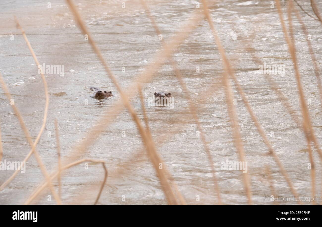 Sen river hi-res stock photography and images - Alamy