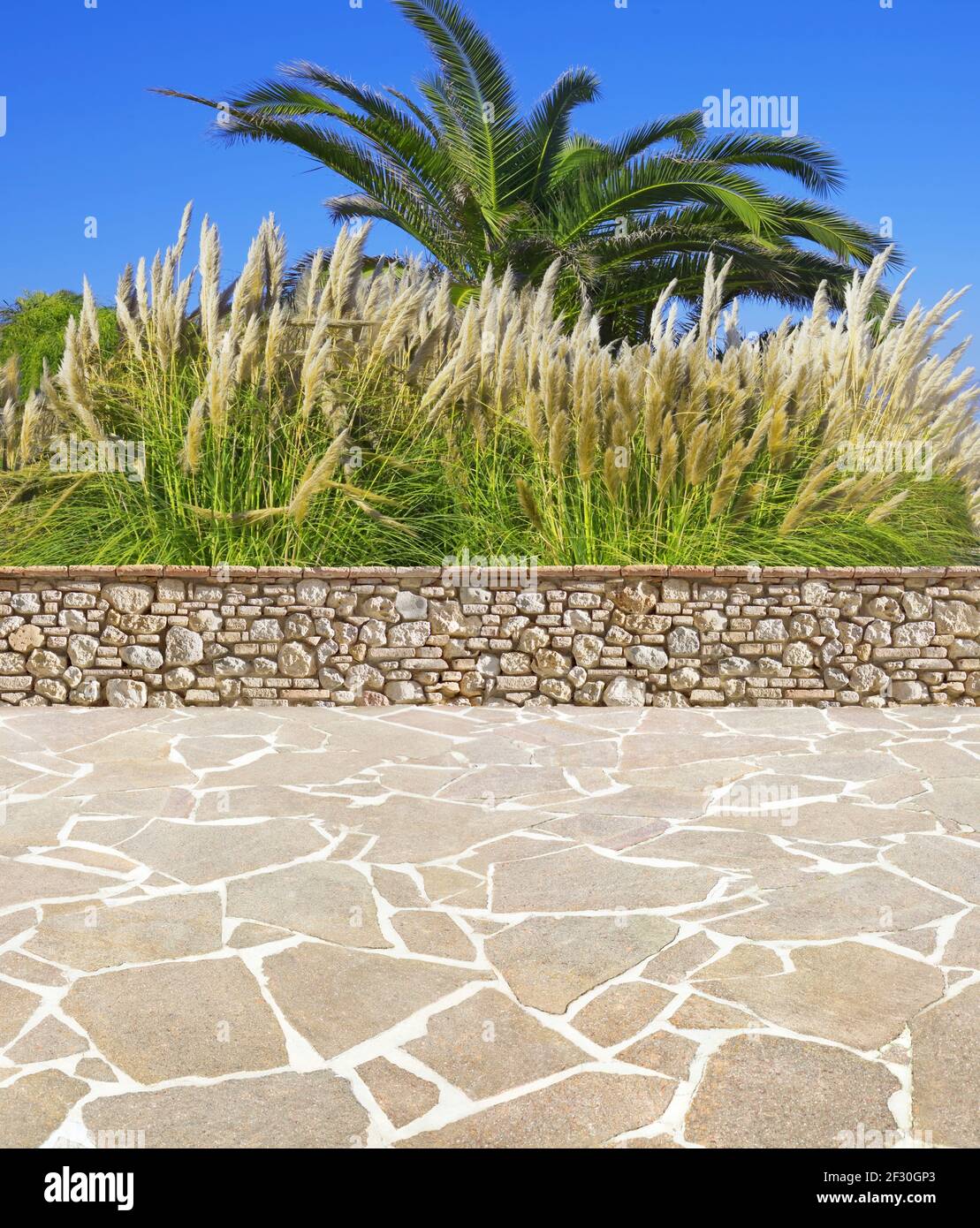 Terrace and palm trees hi-res stock photography and images - Alamy