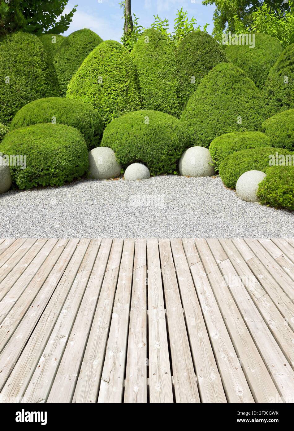 Japanese boxwood hi-res stock photography and images - Alamy