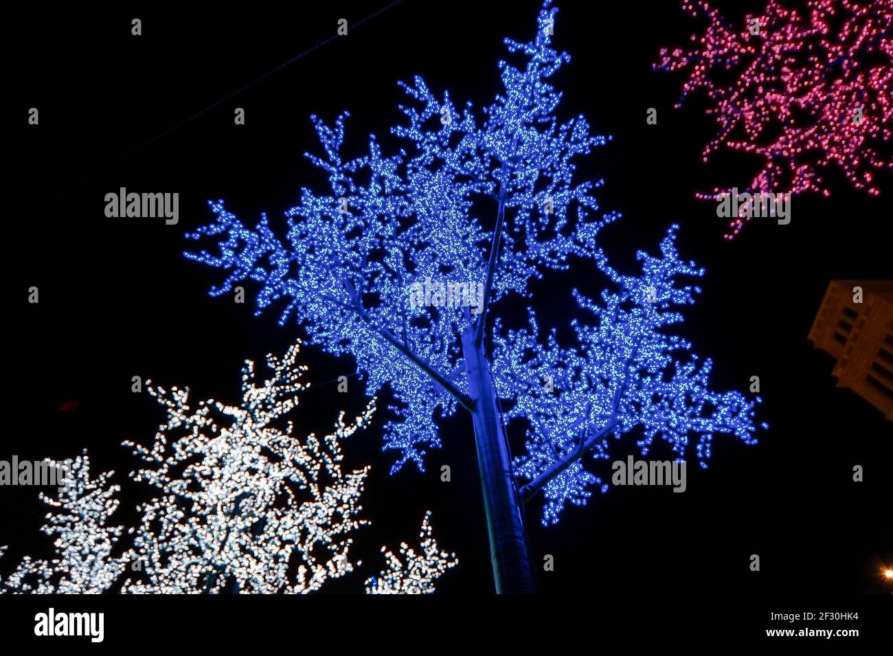 Christmas tree with bright colorful lights at night Stock Photo - Alamy