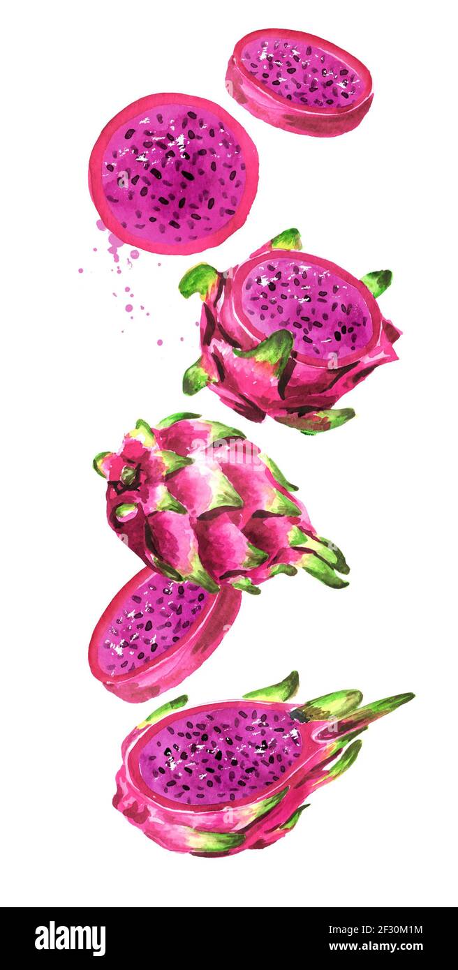 Falling Pitaya fruit Whole and cut. Red or purple Dragon fruit. Hand ...