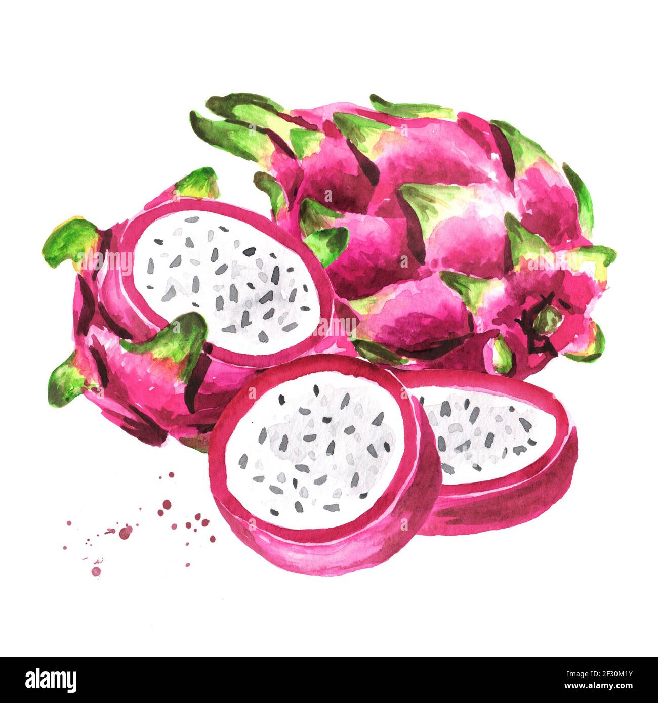 Pitaya fruit Whole and cut. Dragon fruit. Hand drawn watercolor ...