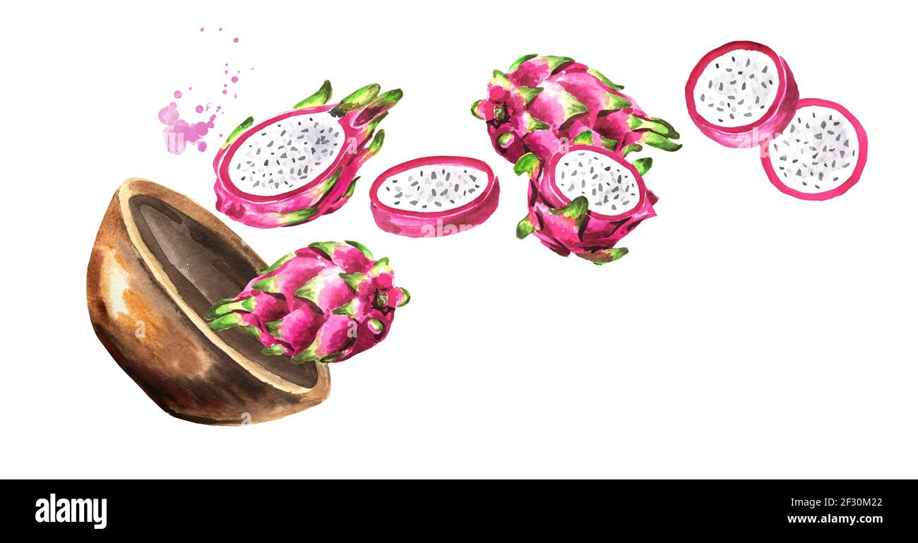 Bowl with Pitaya. Dragon fruit. Hand drawn watercolor horizontal ...