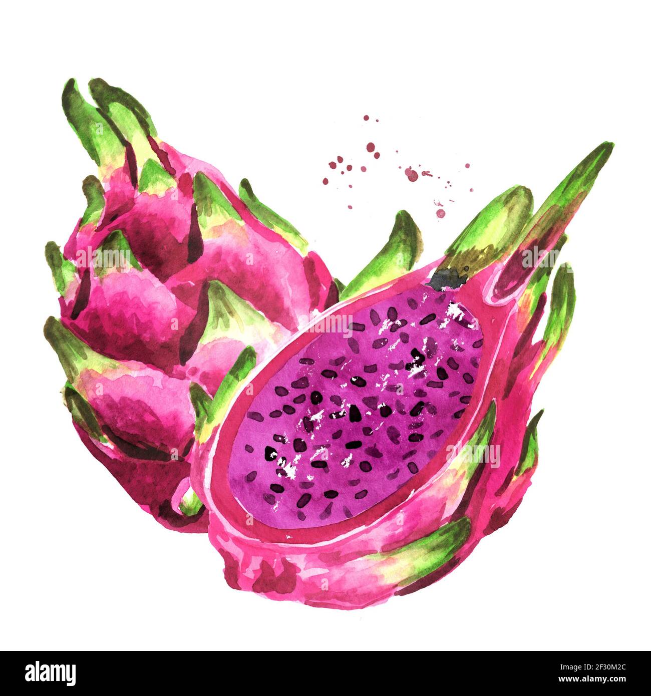 Pitaya fruit Whole and half. Red or purple Dragon fruit. Hand drawn ...