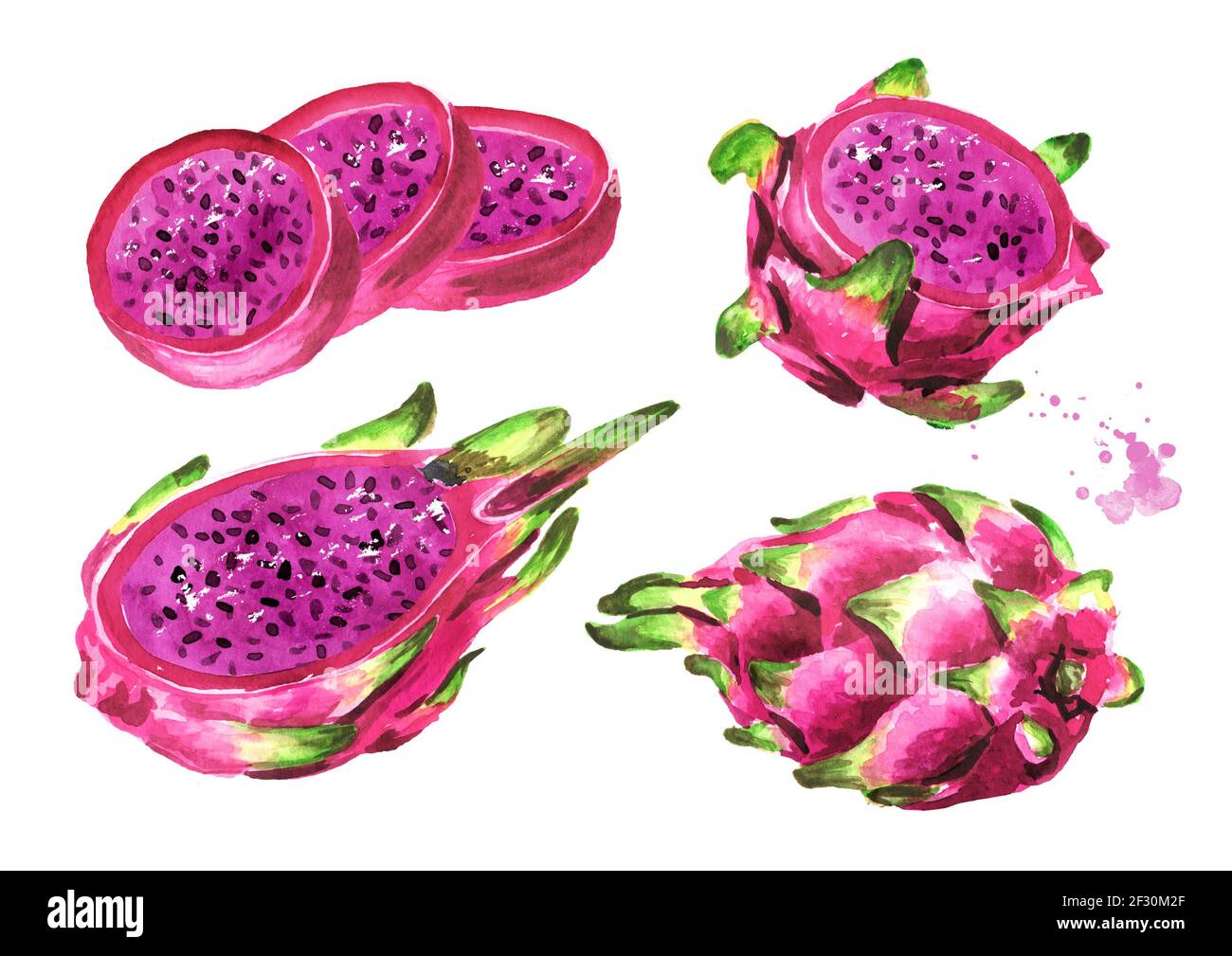 Pitaya fruit Whole and cut. Red or purple Dragon fruit set. Hand drawn ...