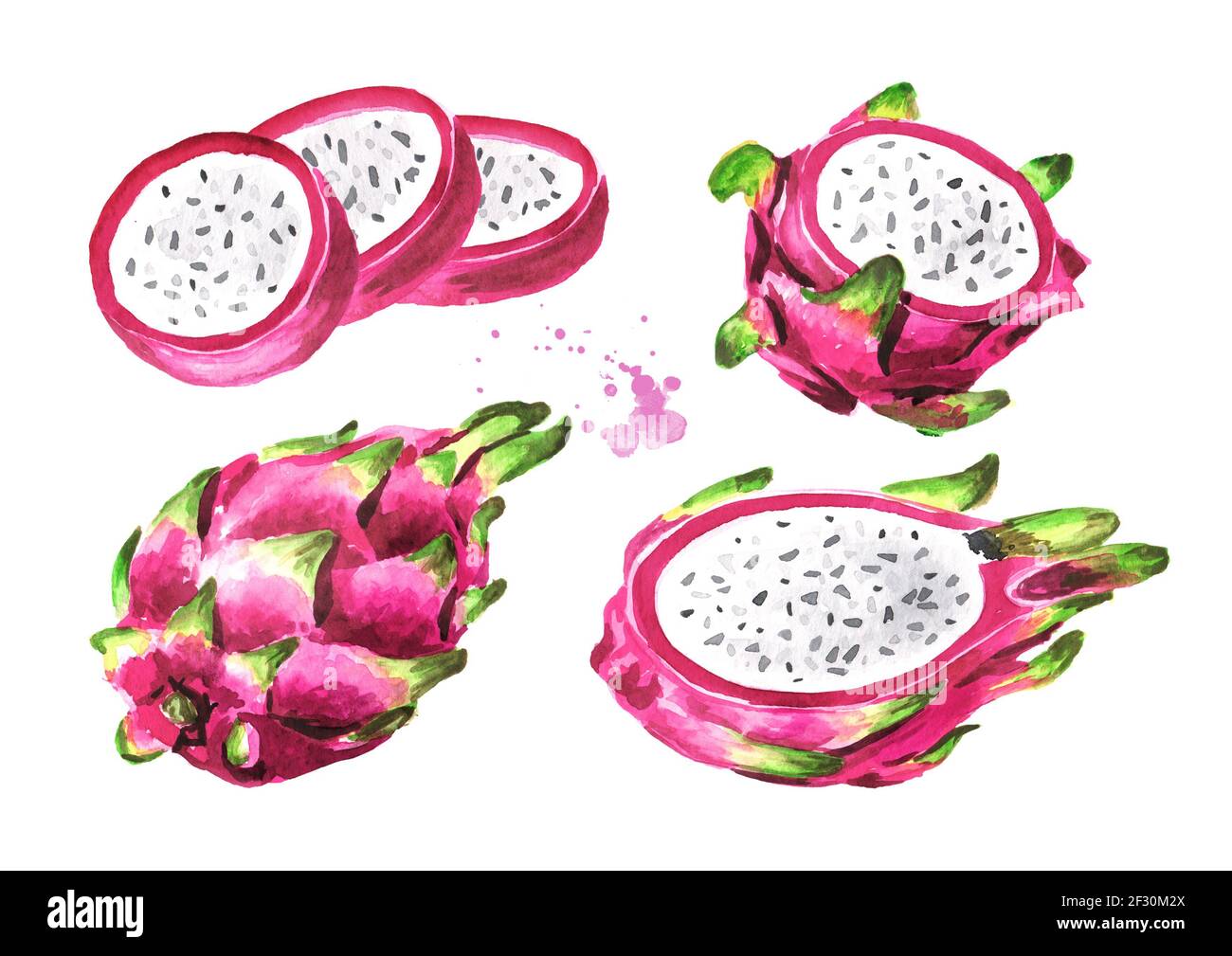 Pitaya fruit Whole and cut. Dragon fruit set. Hand drawn watercolor ...