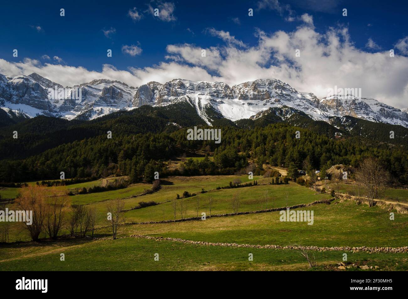 Cara de la naturaleza hi-res stock photography and images - Alamy