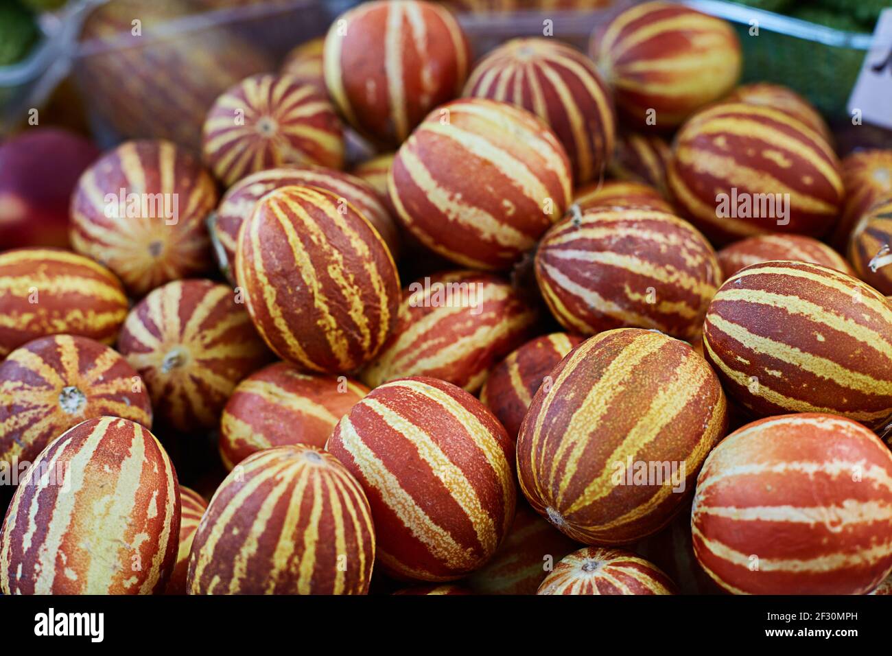 Lots of Vietnamese striped pineapples mini melons Stock Photo - Alamy
