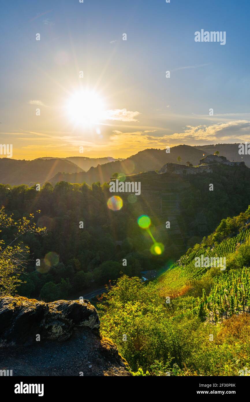 River ahr vineyards hi-res stock photography and images - Alamy