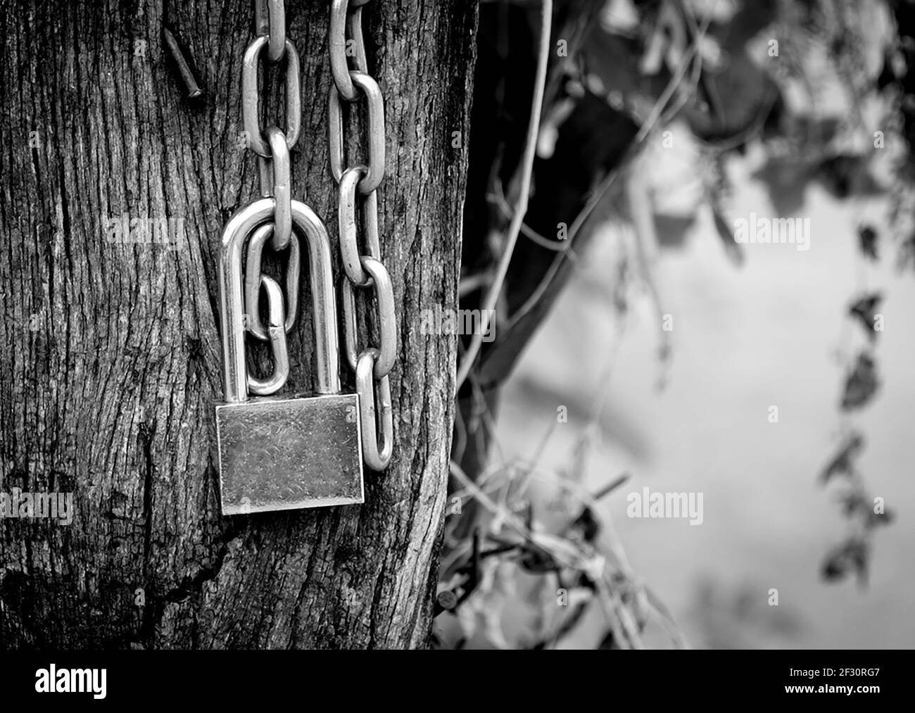 Black and white padlock hi-res stock photography and images - Alamy