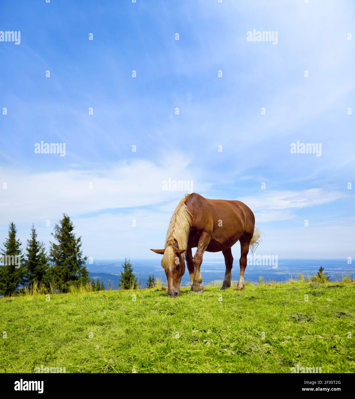 High valley hi-res stock photography and images - Alamy