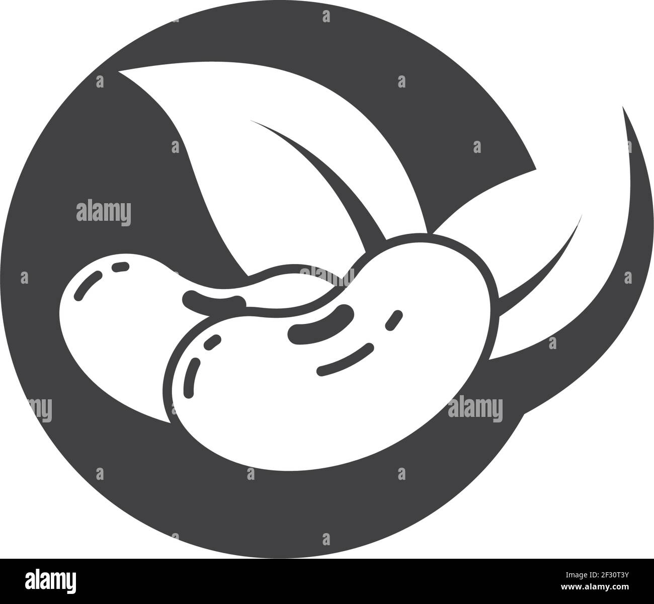 Raw kidney bean Stock Vector Images - Alamy