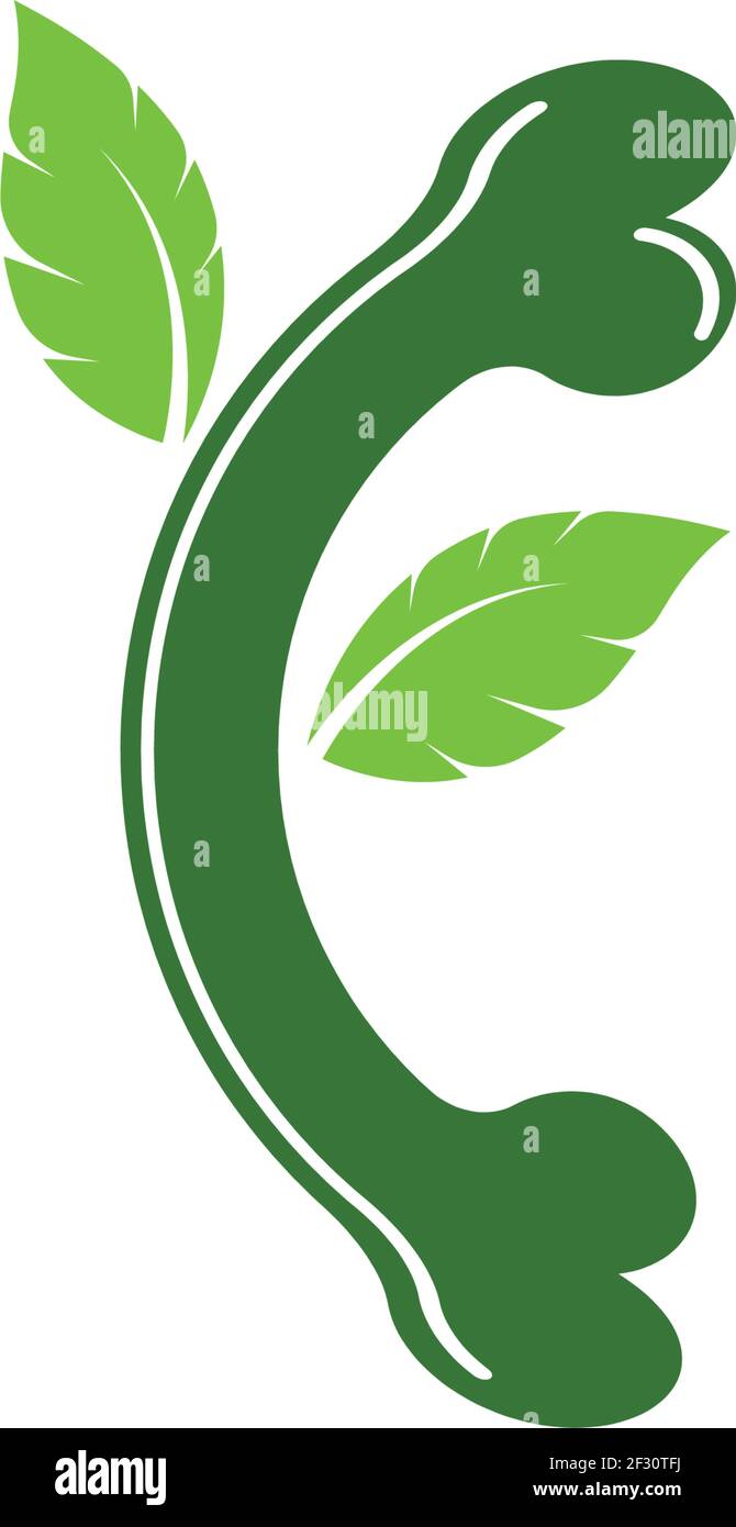 Leaf bones Cut Out Stock Images & Pictures - Alamy