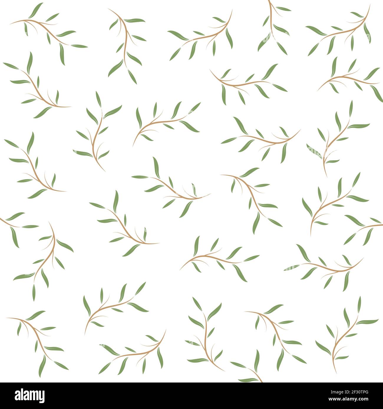 Melaleuca cajuput Stock Vector Images - Alamy