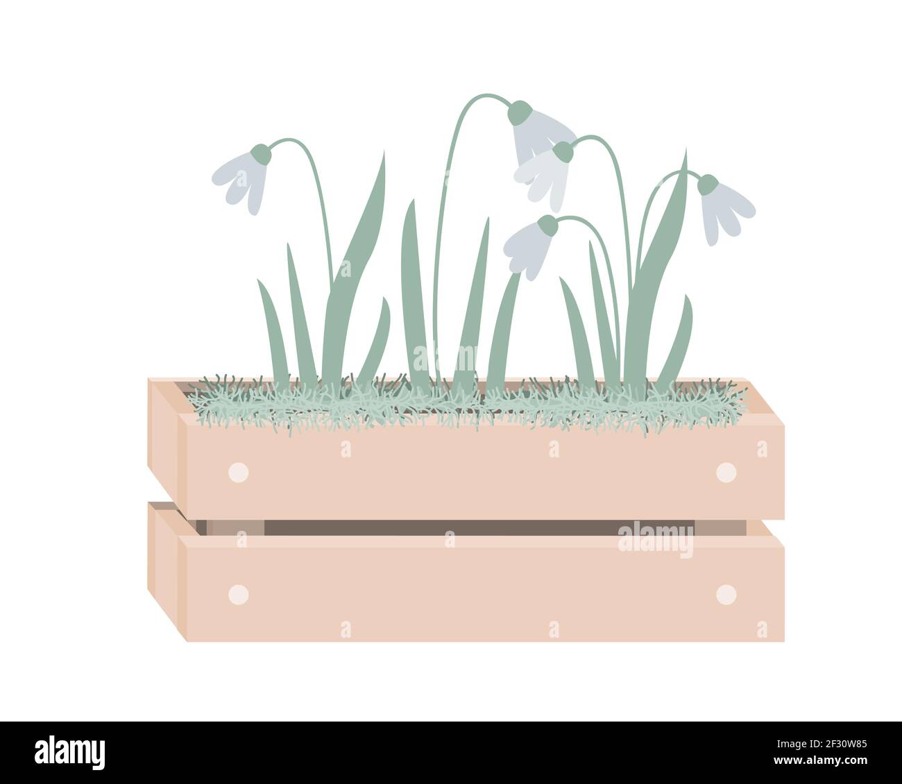Vector cartoon illustration moss Cut Out Stock Images & Pictures - Alamy